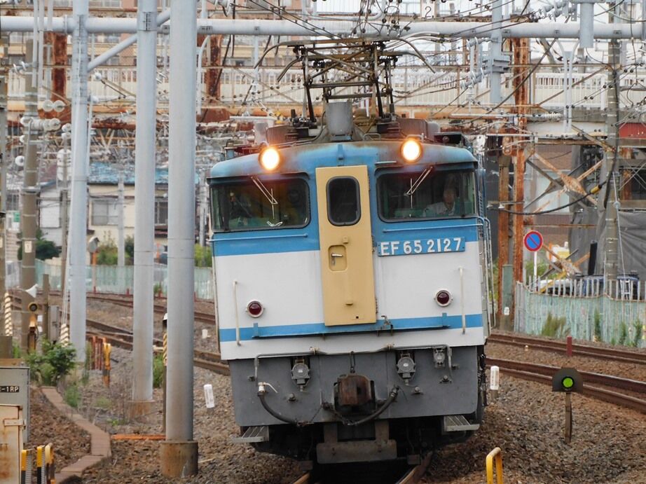 EF65形電気機関車2127号機（カラシ）＋E491系（マヤ50）＋キヤE195系レア - 令和4年9月 : 深徒徒