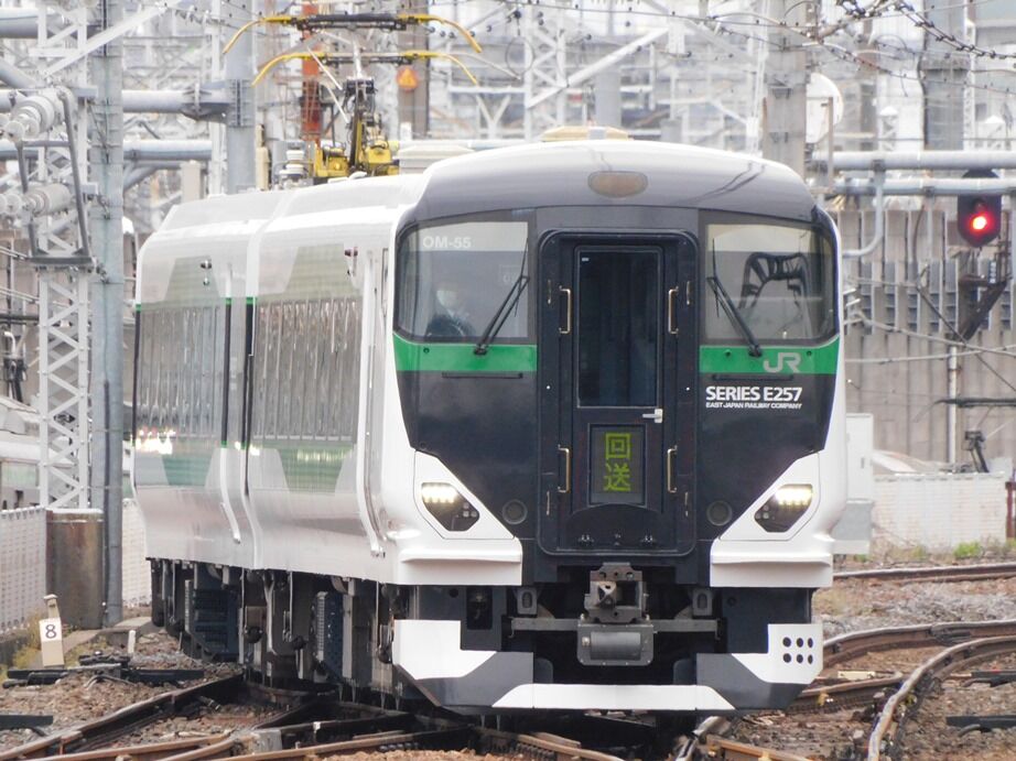 E653系（青の絶景ネモフィラ号）＋E257系OM-55（あしかが大藤まつり1号） - 令和4年5月 : 深徒徒