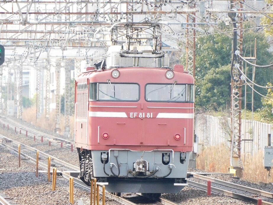 EF81形電気機関車（81）＋EF65形電気機関車 - 令和5年1月 : 深徒徒