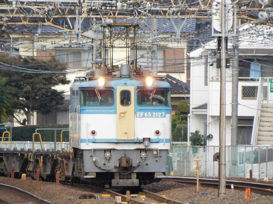 EF65-2127＋EF81-139 - 令和4年11月 : 深徒徒