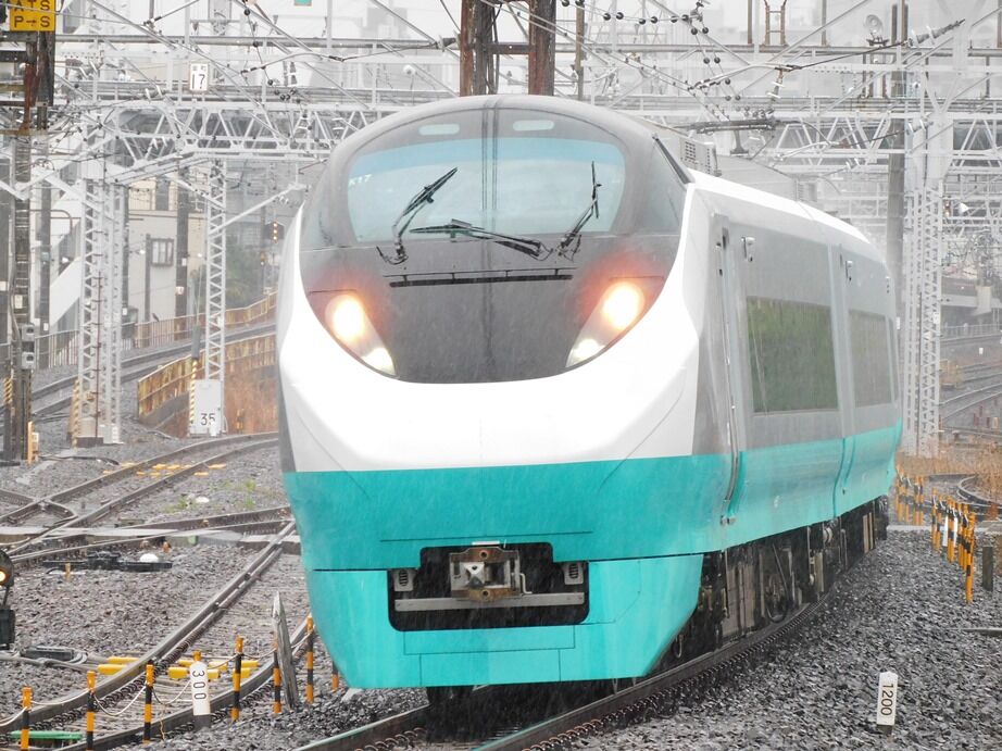 E653系（団体鎌倉号）＋E657系（スカーレットブロッサム）＋E657系（グリーンレイク）＋651系（OM205分割） - 令和5年3月 : 深徒徒