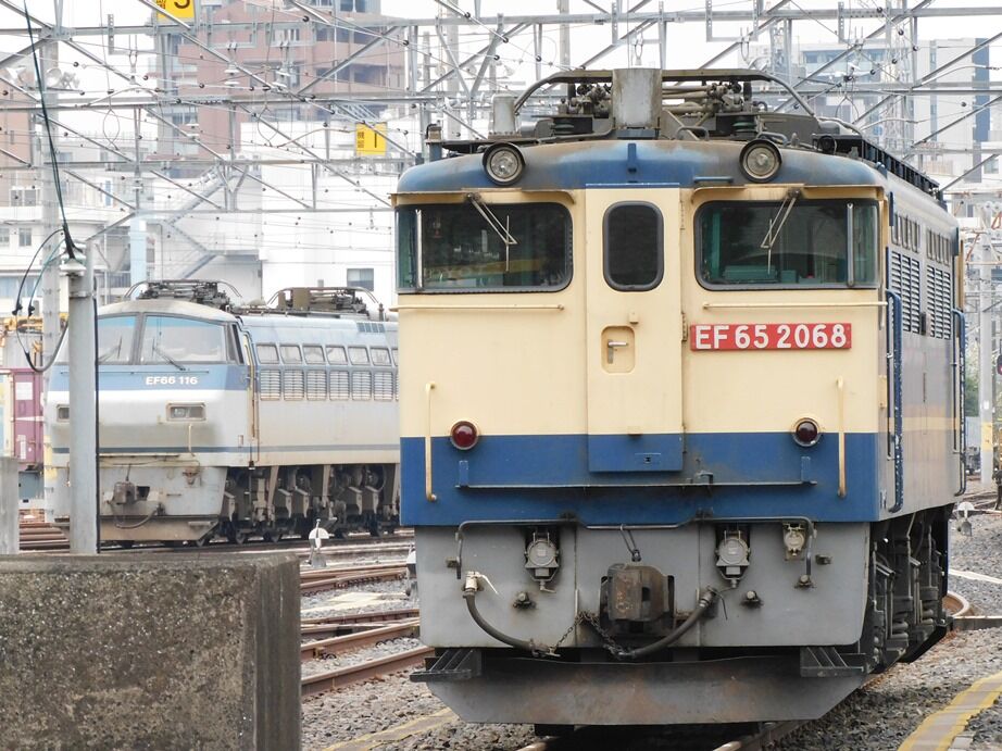 EF65形電気機関車（2063・2068）＋EF66形電気機関車（116）＋オムライストレイン＋KSP2002E - 令和5年4月 : 深徒徒