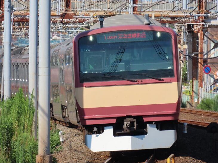 武蔵野線（E653系水色）＋新京成電鉄（N800形復刻塗装電車）＋常磐線（E657系青・E657系紅・E657系黄・赤電） - 令和6年8月 : 深徒徒