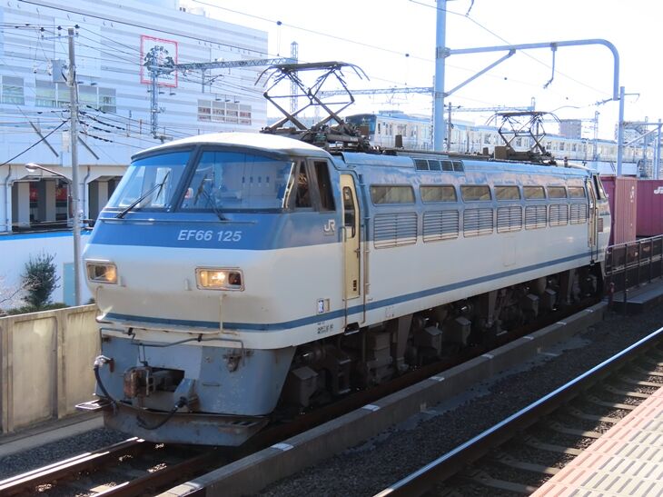 EF66形電気機関車（125）＋EF210形電気機関車（113・171【89レ】）、EF65-2088、EF65-2089 - 令和7年2月 : 深徒徒