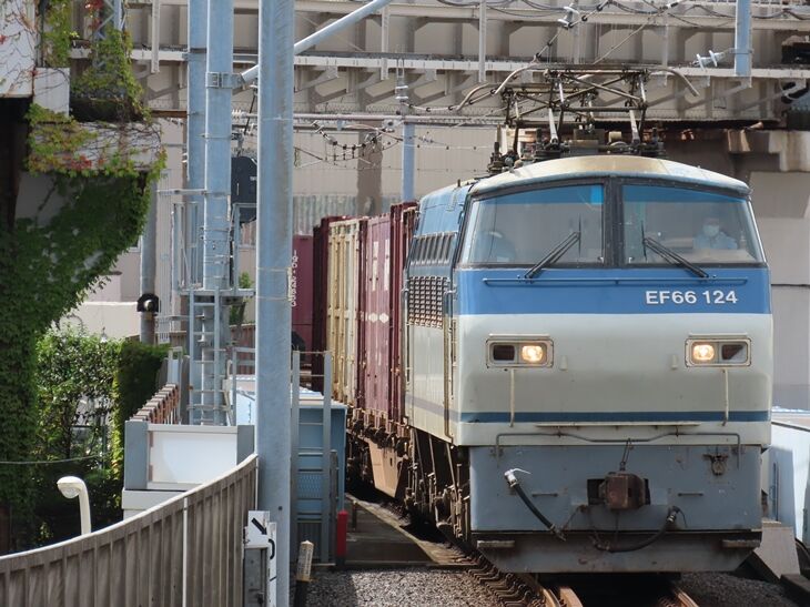 EF66形電気機関車（124）＋DE10形ディーゼル機関車（1603）＋EF210形電気機関車（346・162） - 令和6年10月 : 深徒徒