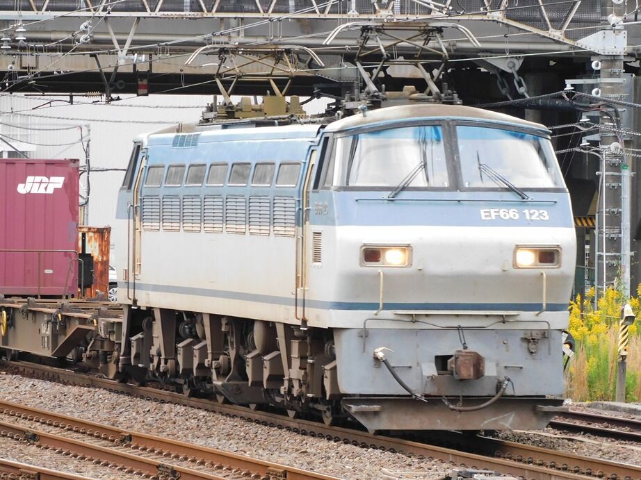 常磐線（E653系）＋武蔵野線（E257系OM-51） - 令和4年10月 : 深徒徒