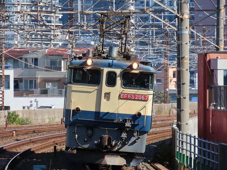 EF65-2067＋HD300-6（配給輸送）、EF65-2089（訓練中）、桃太郎 - 令和6年11月 : 深徒徒