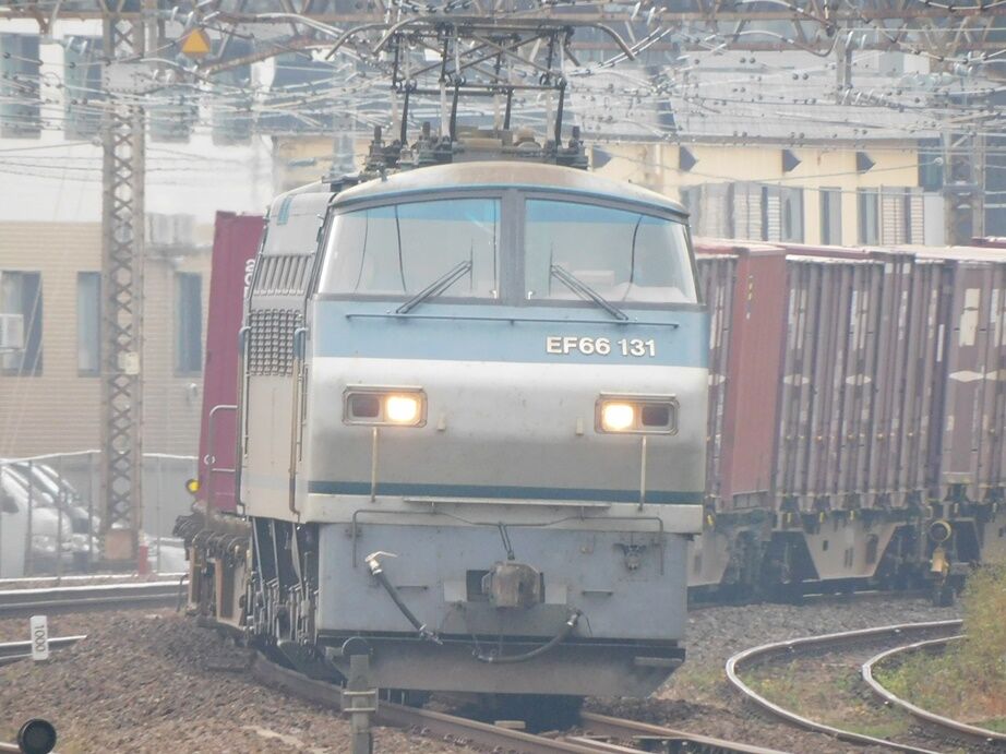 総武本線（E653系）＋常磐線（E257系OM-92）＋京成金町線（ターボ君） - 令和4年11月 : 深徒徒