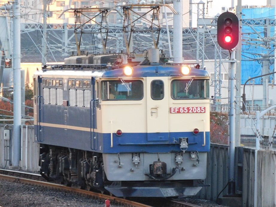 EF65形電気機関車＋EF81形電気機関車（139）＋キヤE195系 - 令和4年11月 : 深徒徒