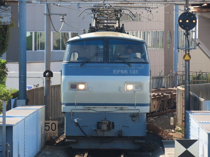 EF66形電気機関車（131）＋EF210形電気機関車（110・151）＋E653系国鉄色（鎌倉）＋流星号（流星HM） - 令和6年11月 : 深徒徒