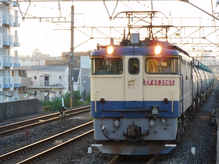 EF65形電気機関車＋E231系乗務員訓練＋キヤE195系 - 令和4年9月 : 深徒徒