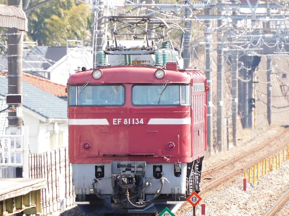 EF81形電気機関車＋EF65形電気機関車（EF65-1103） - 令和4年3月 : 深徒徒