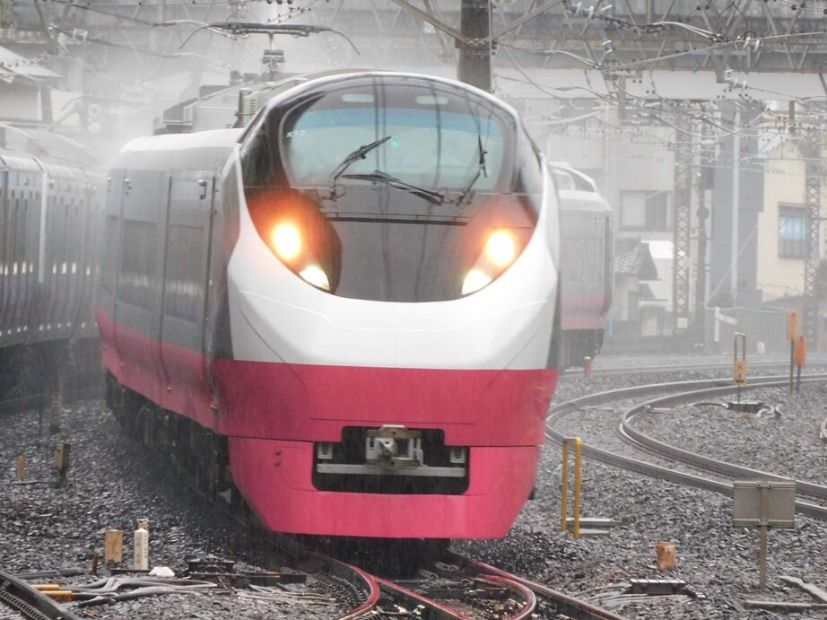 E653系（団体鎌倉号）＋E657系（スカーレットブロッサム）＋E657系（グリーンレイク）＋651系（OM205分割） - 令和5年3月 : 深徒徒