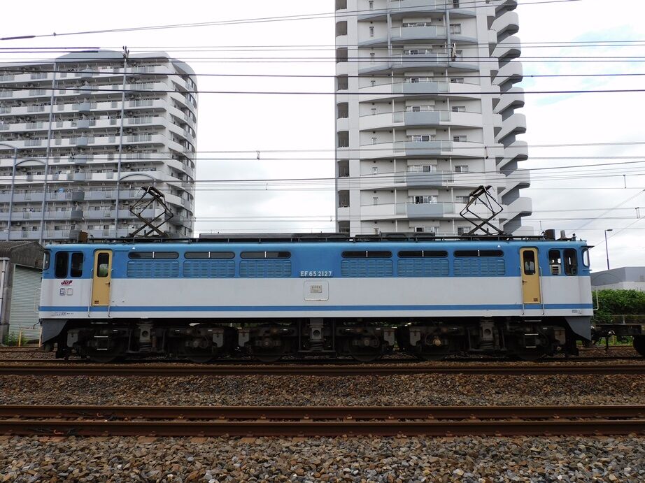 EF65形電気機関車2127号機（カラシ）＋E491系（マヤ50）＋キヤE195系レア - 令和4年9月 : 深徒徒
