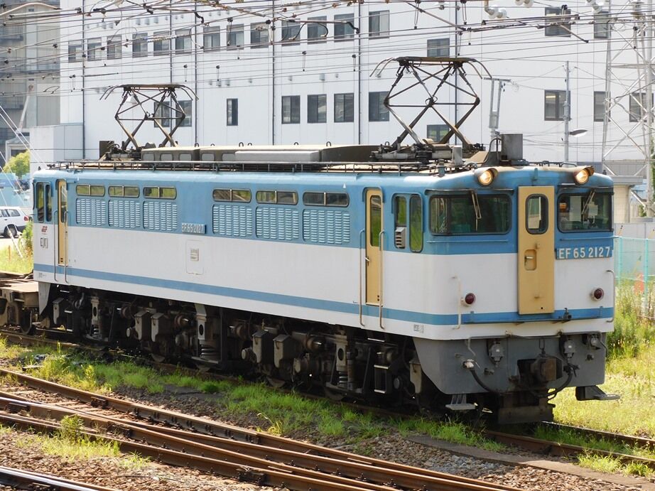 EF65形電気機関車（カラシ）＋キヤE195系 - 令和4年8月 : 深徒徒