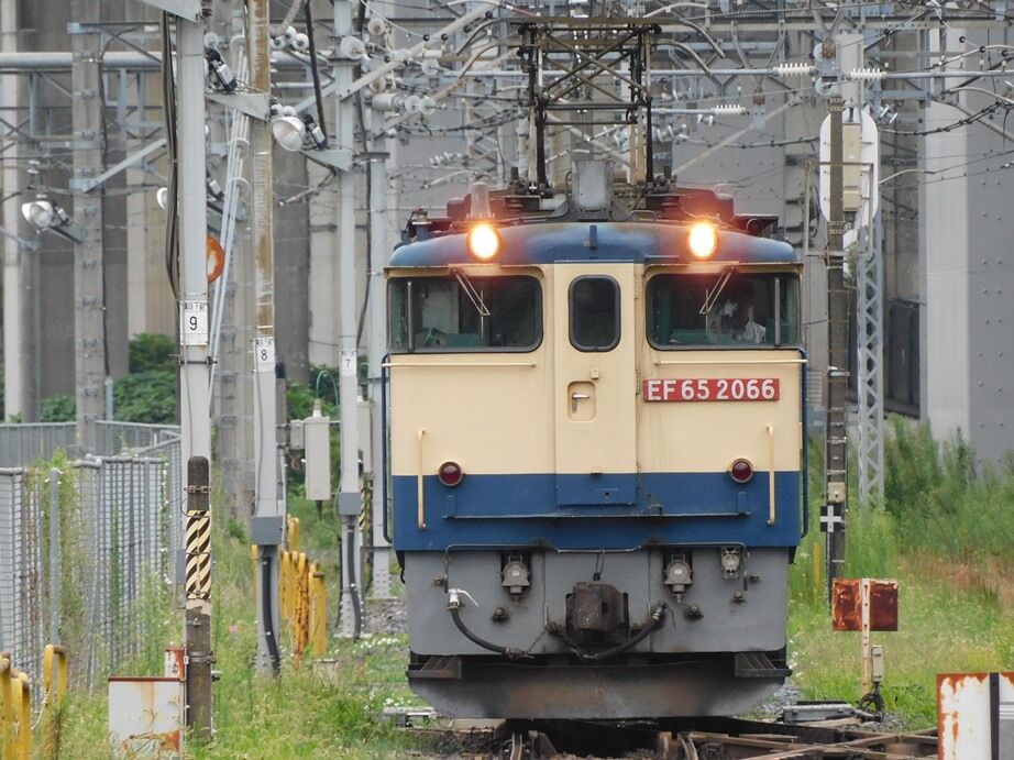 EF65形電気機関車＋四季島＋キヤE195系 - 令和4年9月 : 深徒徒