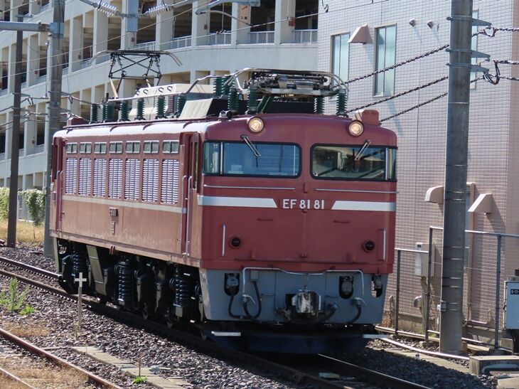 EF81-81（神立試単）、DE10-1654、あかぎ号（幸谷なのは） - 令和6年11月 : 深徒徒