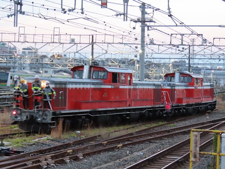 EF66形電気機関車（131）＋EF210形電気機関車（125・164）、DD51形ディーゼル機関車（DD51-895＋DD51-842＋E26系） - 令和6年12月 : 深徒徒