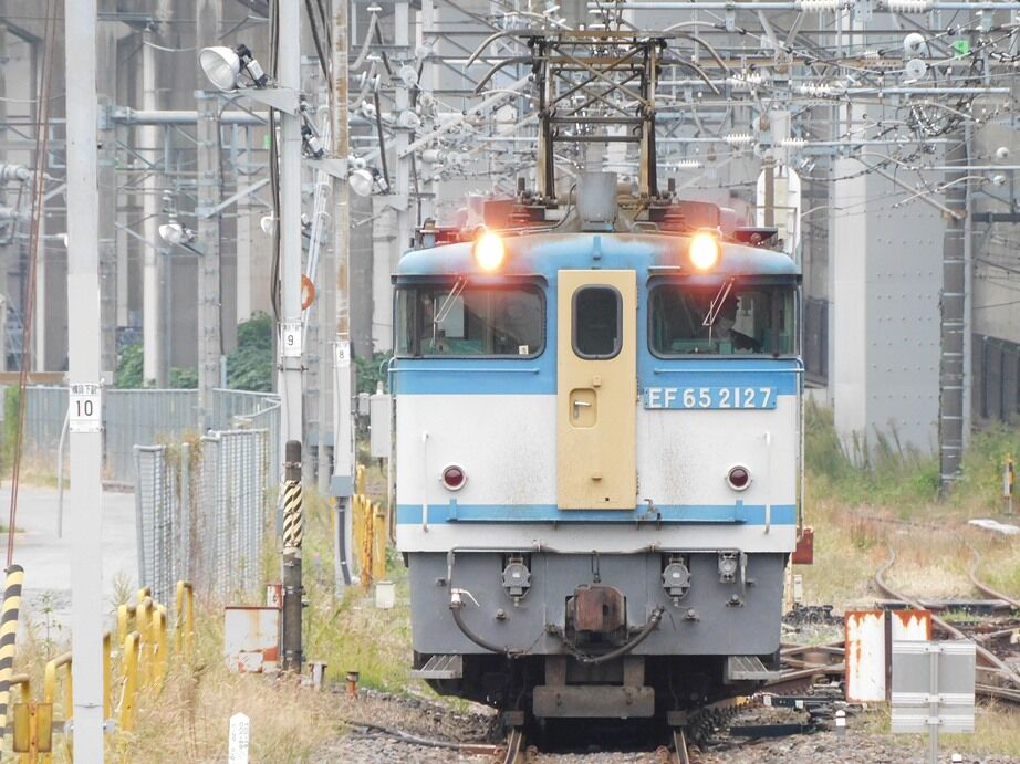 EF65形電気機関車（2127）＋E653系＋キヤE195系 - 令和4年10月 : 深徒徒