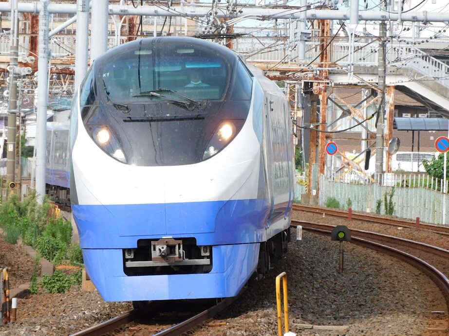 常磐線（E657系青・E657系緑）＋宇都宮線・高崎線（E257系OM-54）＋京浜東北線（根岸線全線開通50周年記念HM） - 令和5年9月 : 深徒徒