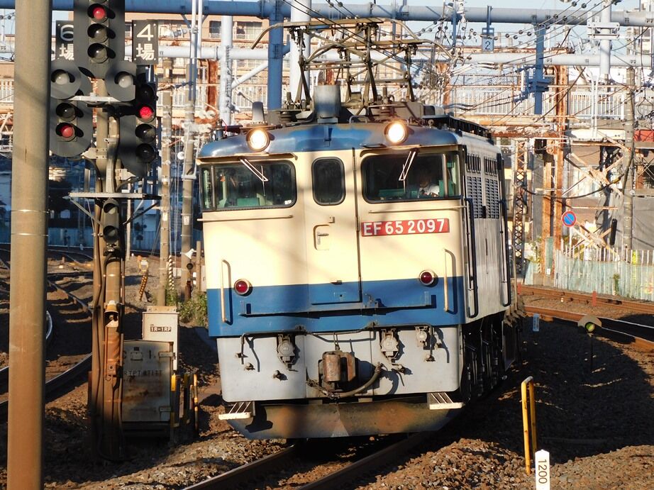 EF65形電気機関車＋EF81形電気機関車（139）＋キヤE195系 - 令和4年11月 : 深徒徒