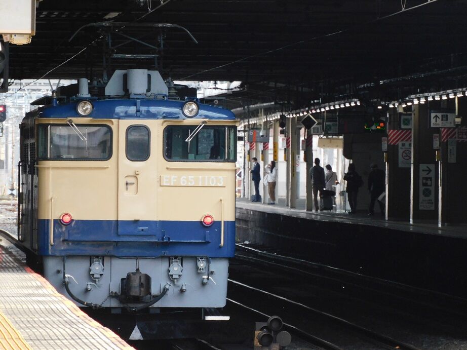 EF65-1103（白岡試単）＋キヤE195系オクST-9編成（乗務員訓練） - 令和5年3月 : 深徒徒