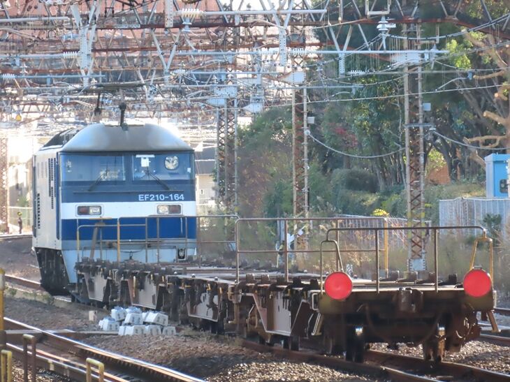 EF66形電気機関車（131）＋EF210形電気機関車（125・164）、DD51形ディーゼル機関車（DD51-895＋DD51-842＋E26系） - 令和6年12月 : 深徒徒