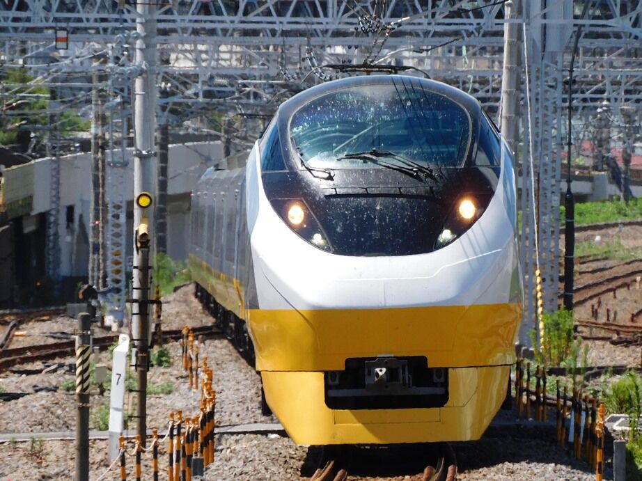 常磐線（E657系青・E657系黄・E657系緑・E657系紅）＋宇都宮線・高崎線（E257系OM-55・E257系OM-53）＋流鉄流山線 - 令和5年8月 : 深徒徒