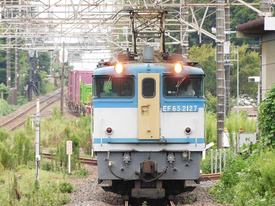 EF65-2127（カラシ）EF65形電気機関車2127号機、DD200-901（DD200形ディーゼル機関車）、EF66形電気機関車（EF66-125） - 令和5年9月 : 深徒徒