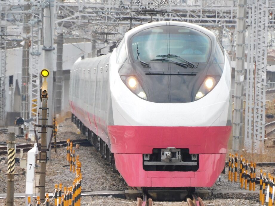 E653系（水戸偕楽園八王子号）＋651系（草津31号）＋E657系紅（ひたち10号・ときわ63号） - 令和5年3月 : 深徒徒