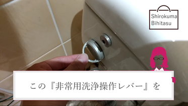 SBの動画deハウツー早わかり!!｜TOTO・CS800系列｜お掃除モード&停電時の洗浄他 : Shirokuma Bihitasu的トイレ ...