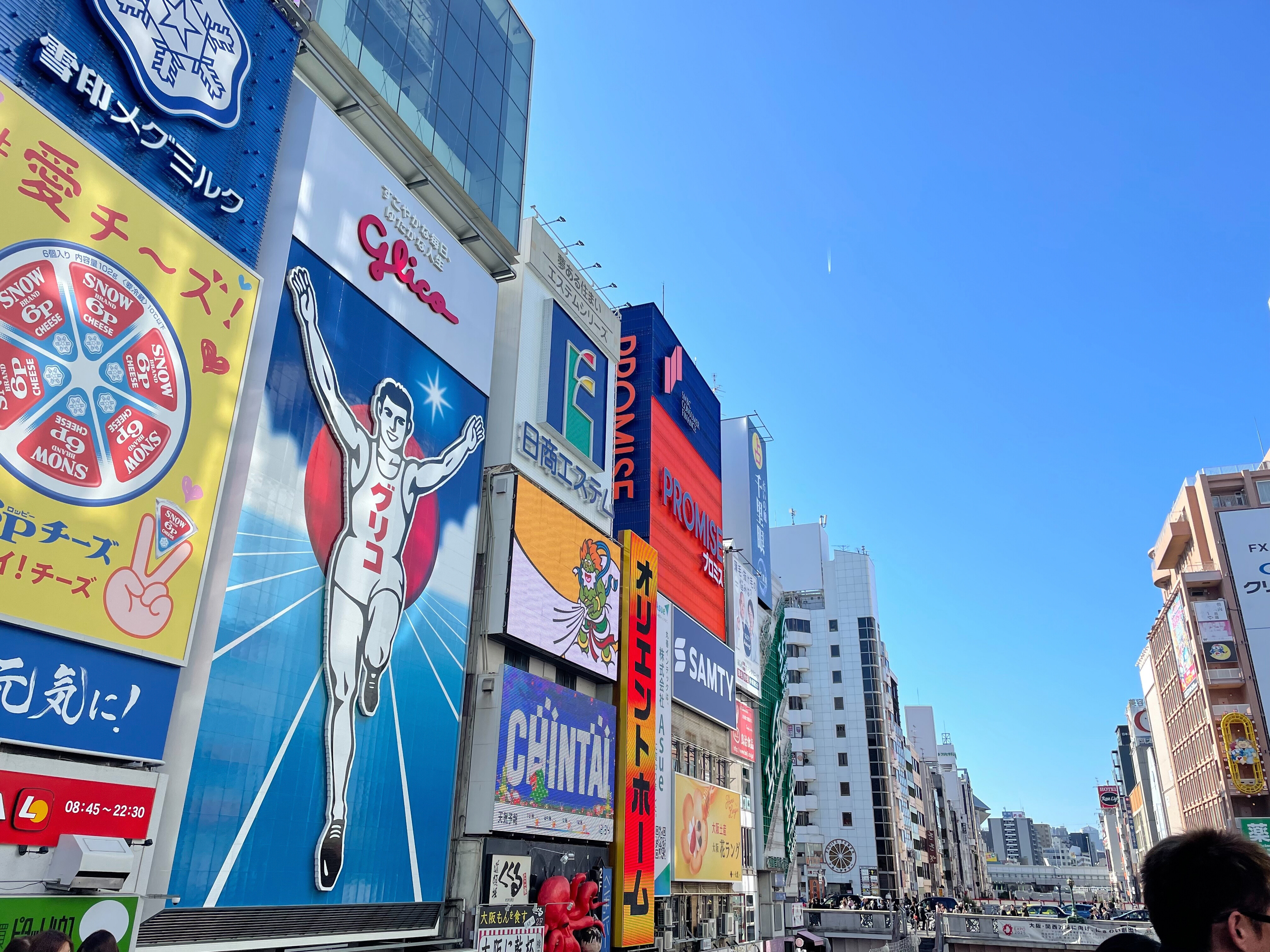 [Three-Dimensional Signboards in Osaka] What fascinated me more than ...