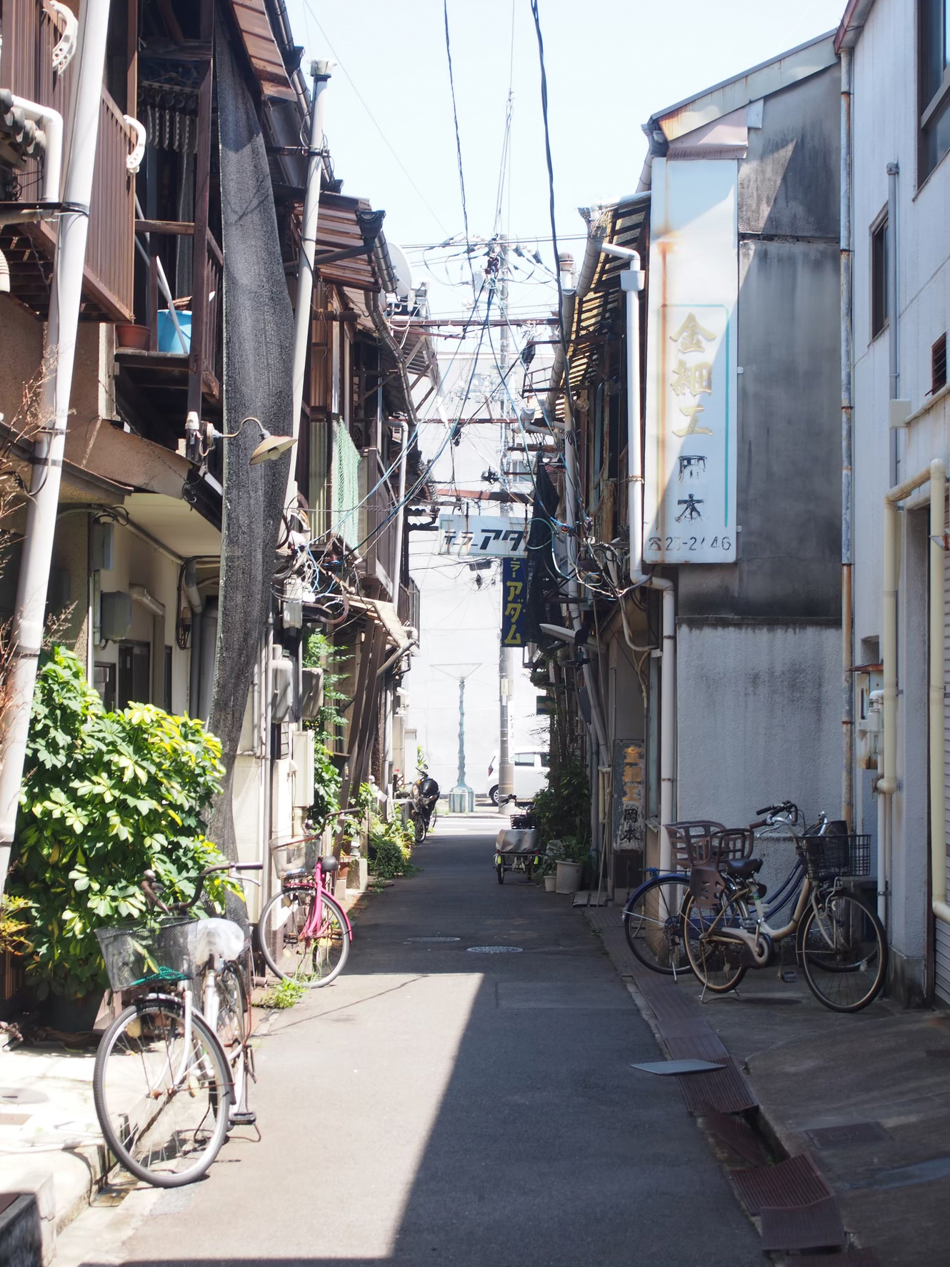 [Why Not Visit Japan's Small Cities?] By November 2025, the cumulative ...