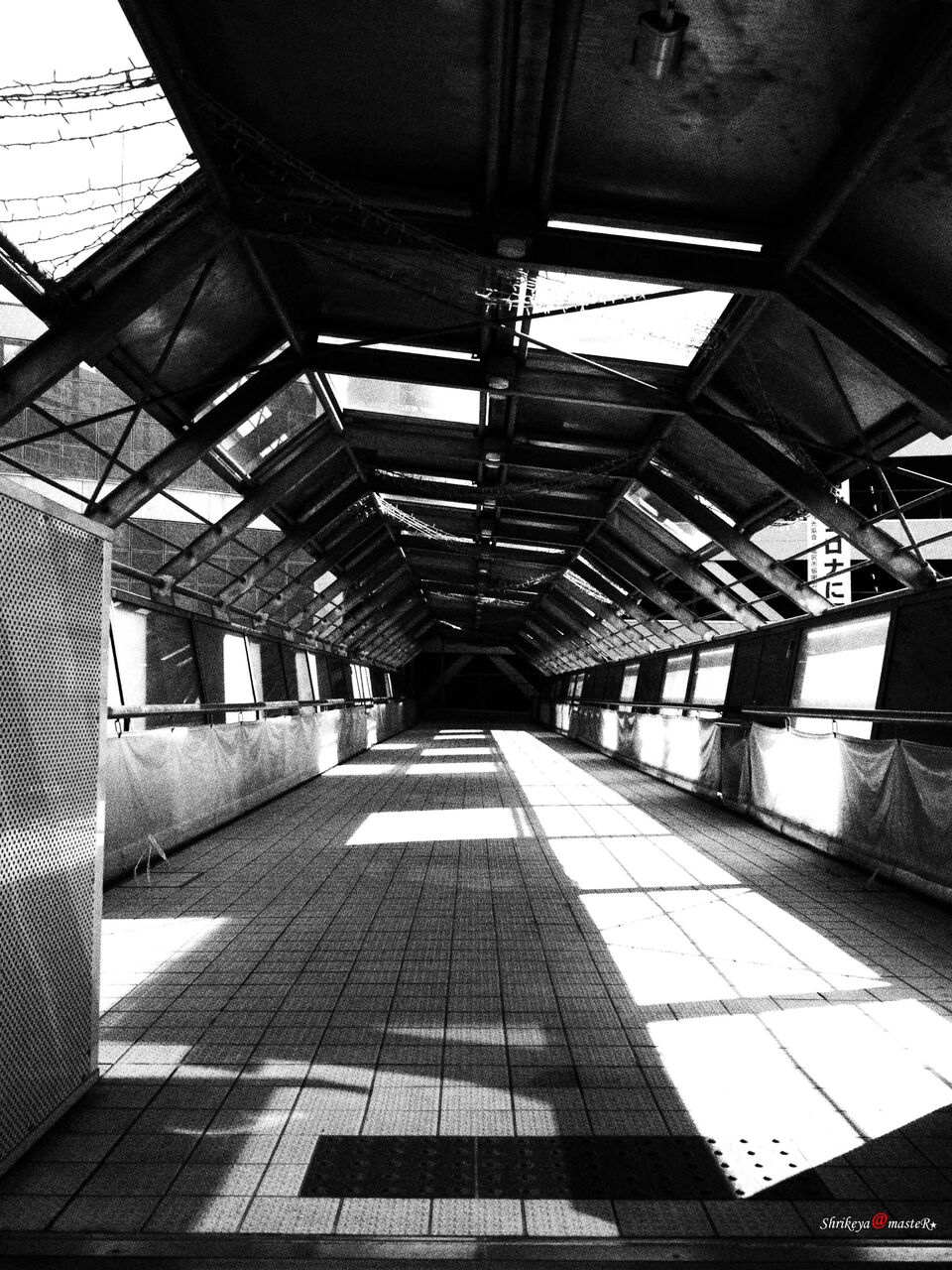 百舌鳥屋の Blog:塩ブラ撮影