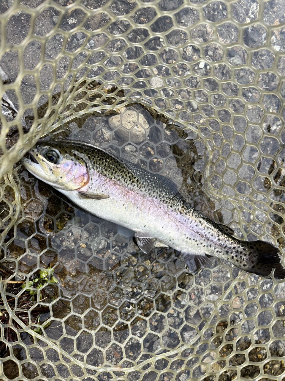 21歳になってすぐ遠征と雪山籠もり。 : BRAVE TRIP BOYZ