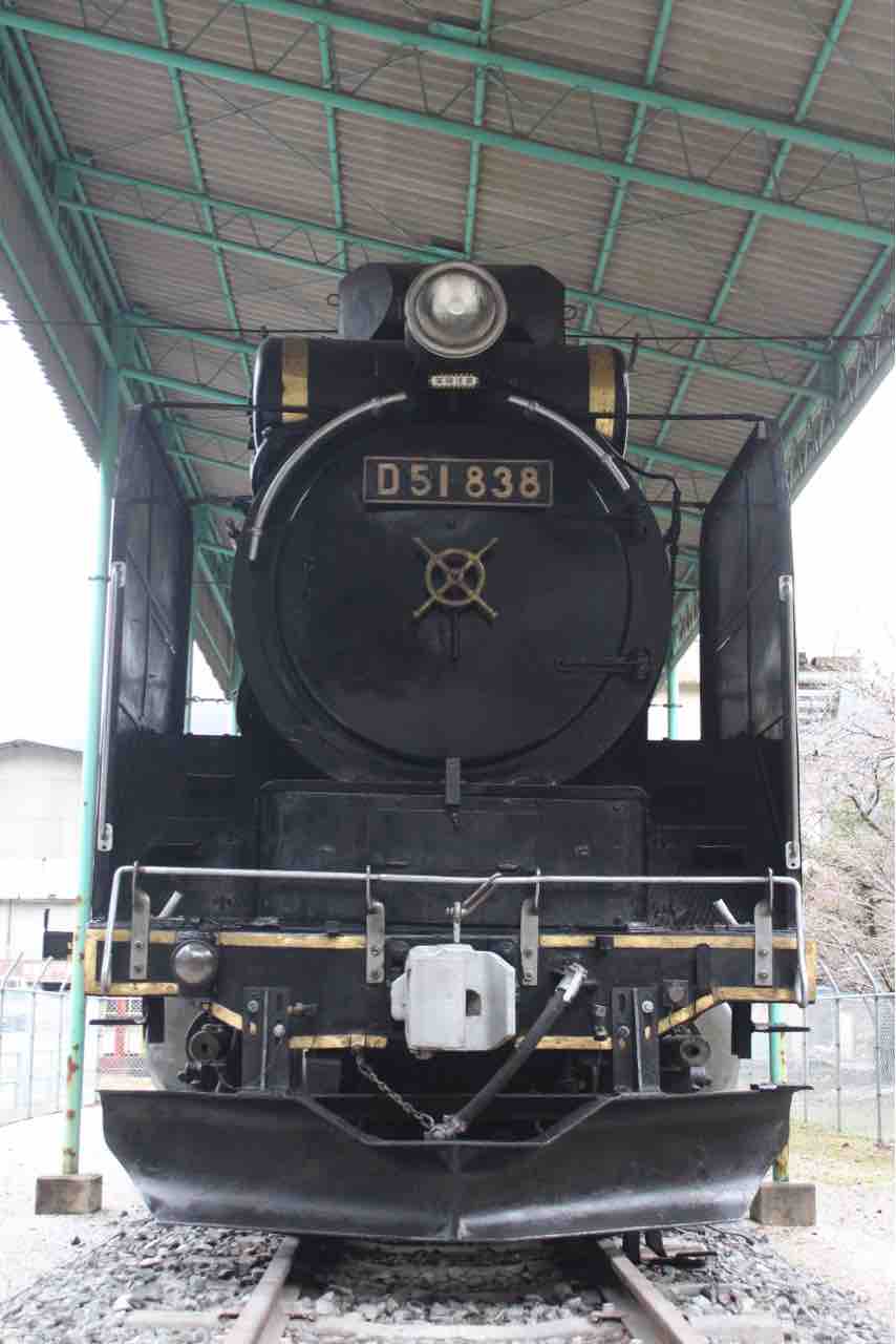 井倉のヌシ D51-838 : いまを生きる電車たち