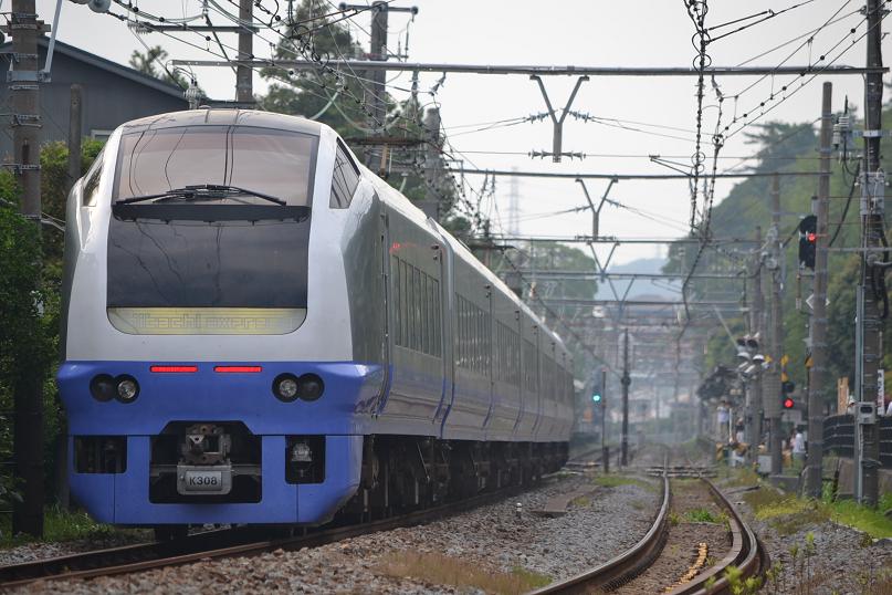 E653系 「ぶらり鎌倉号」 : moon express