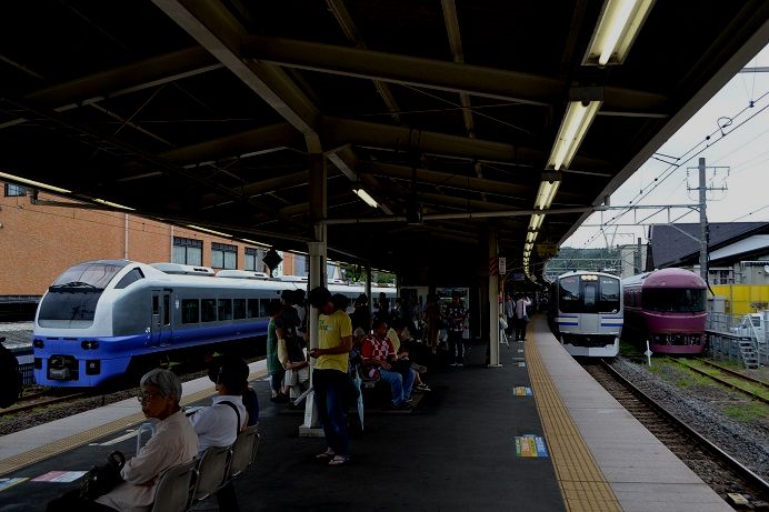 E653系 急行「ぶらり鎌倉」 2014年6月 Vol.2 : moon express