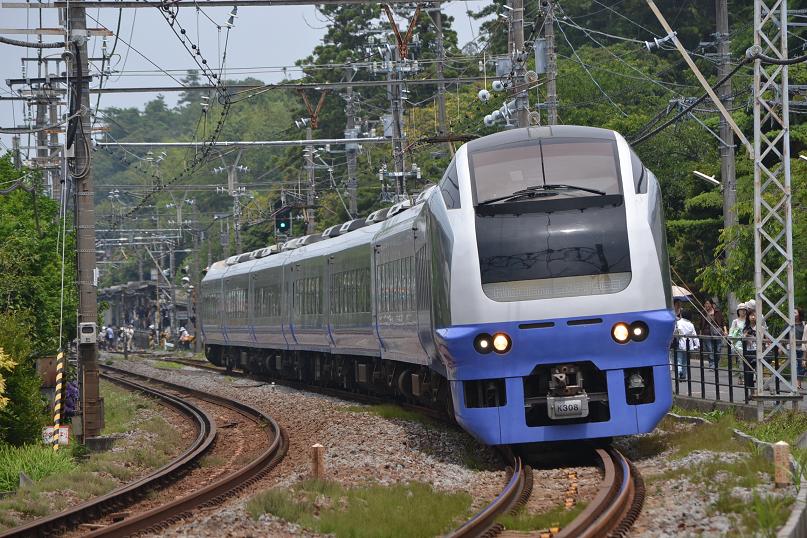 E653系 「ぶらり鎌倉号」 : moon express