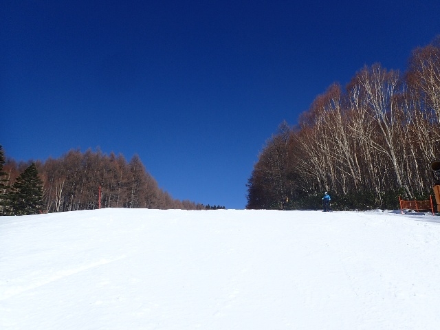 焼額山 : skivaca速報