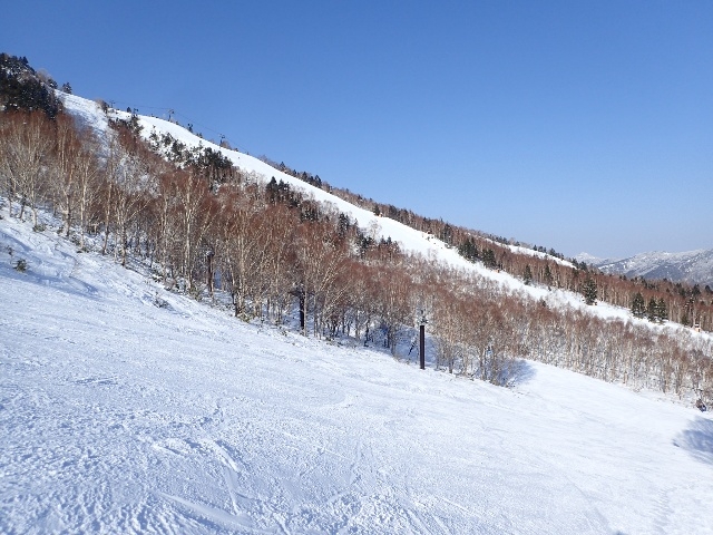 2026年01月18日 : skivaca速報