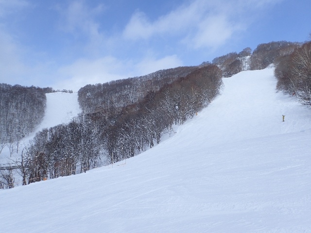 2026年01月 : skivaca速報