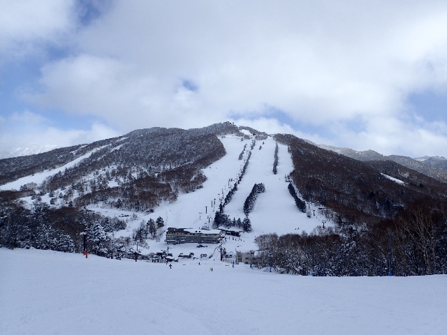 2026年01月 : skivaca速報