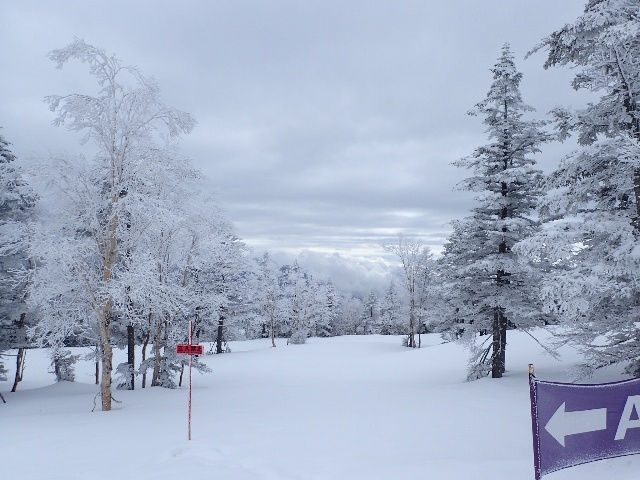 焼額山 : skivaca速報