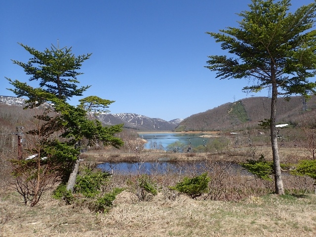 田代 : skivaca速報