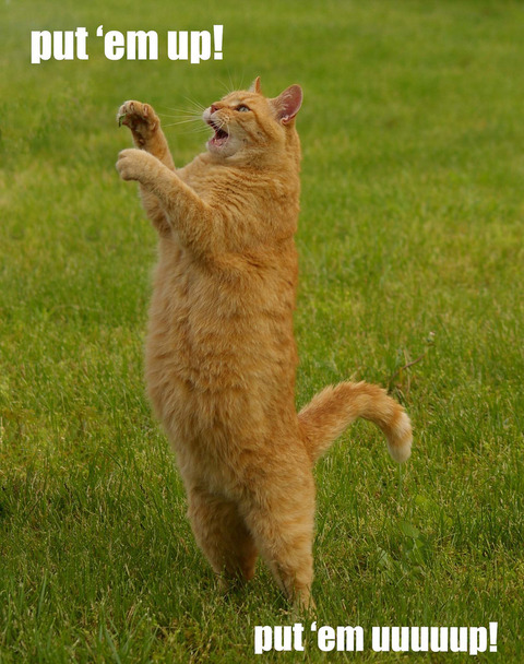 【Put'em up!】【Put your hands up!】英会話・スラング・略語の意味や使い方 : 超絶"厳選"ニュースまとめch