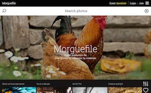 Morguefile [写真素材] : フリー素材便利帳