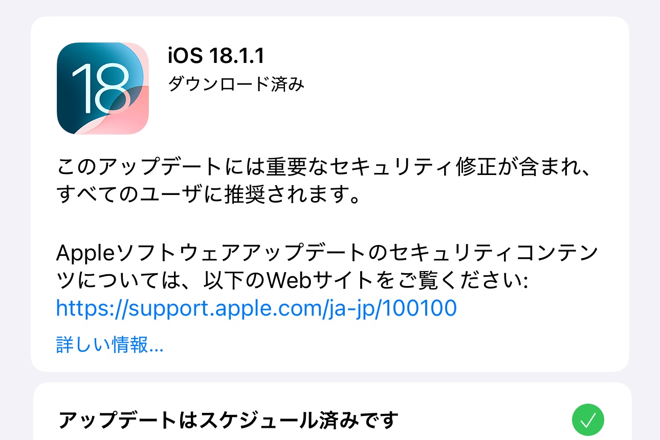 AppleがiPhoneやiPadなど向け最新プラットフォーム「iOS 18.1.1」と「iPadOS 18.1.1」を提供開始！WebKit ...