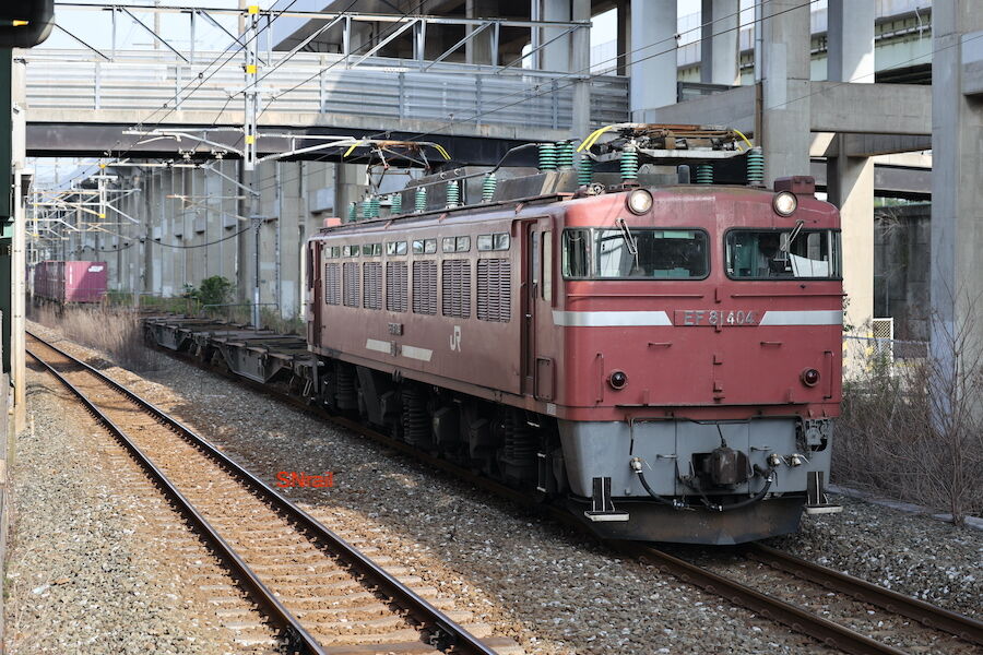 EF81+ED76の重連貨物を再び撮りに行く その1 : SN総合車両所のブログ