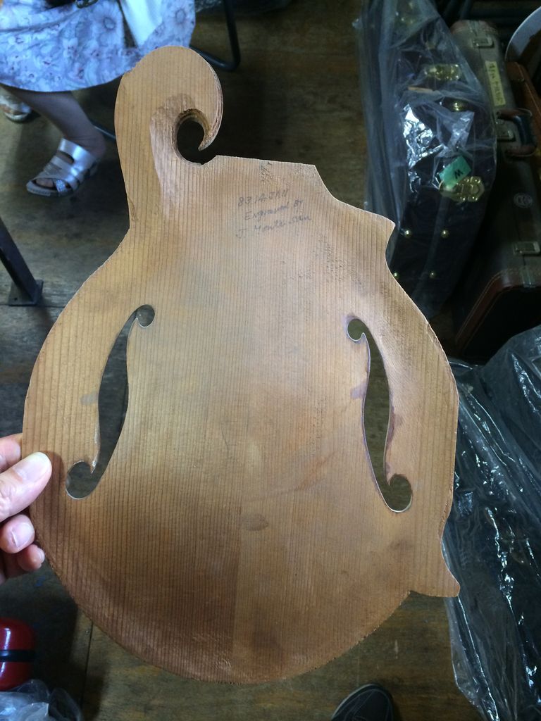 SUMI MANDOLIN DAWG 1 : ︎BLUESKY & GRASS ︎